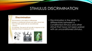 Behaviorism Psychology Example