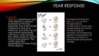 Behaviorism Psychology Example