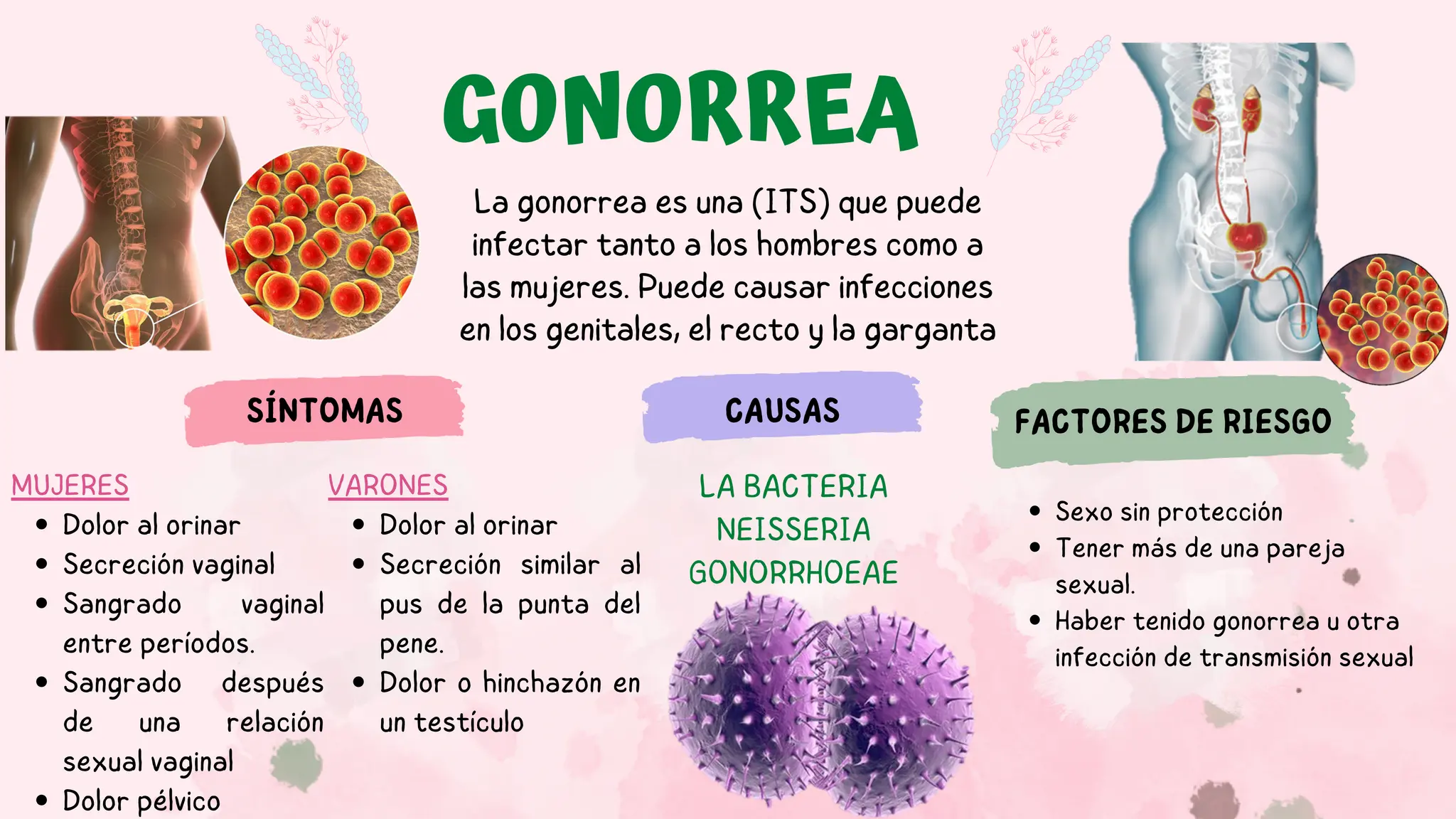 INFECCIONES DE TRANSMISION SEXUAL, SIGNOS Y SINTOMAS, TRATAMIENTO ...
