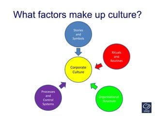 It’s all about the culture | PDF