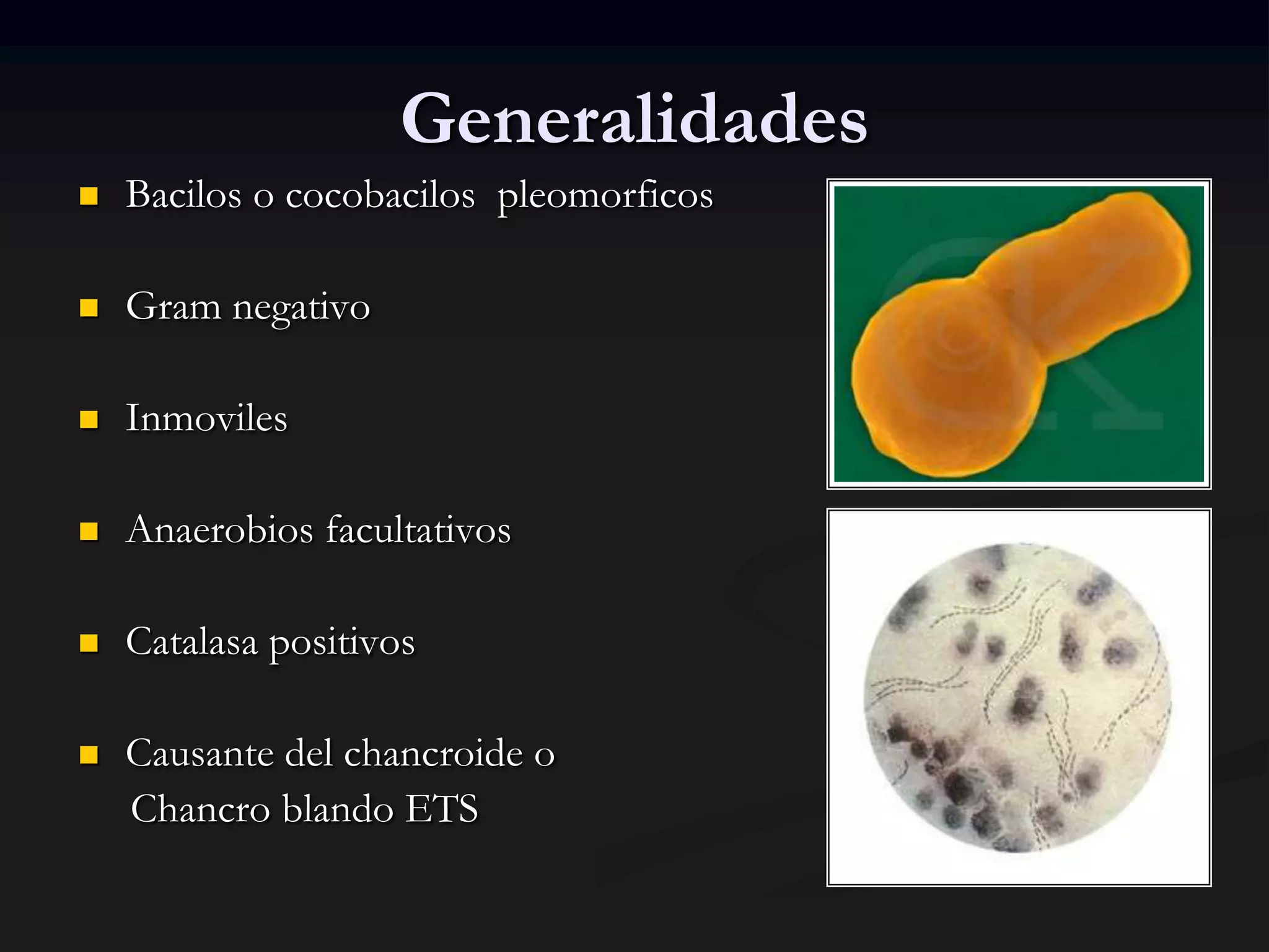 Its chancro granuloma inguinal candida | PPT
