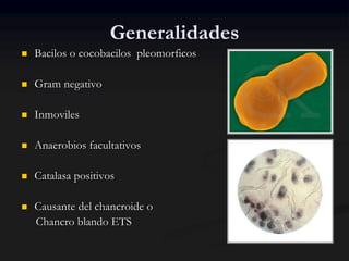Its chancro granuloma inguinal candida | PPTX