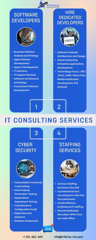 IT services & Staffimg Services | PDF