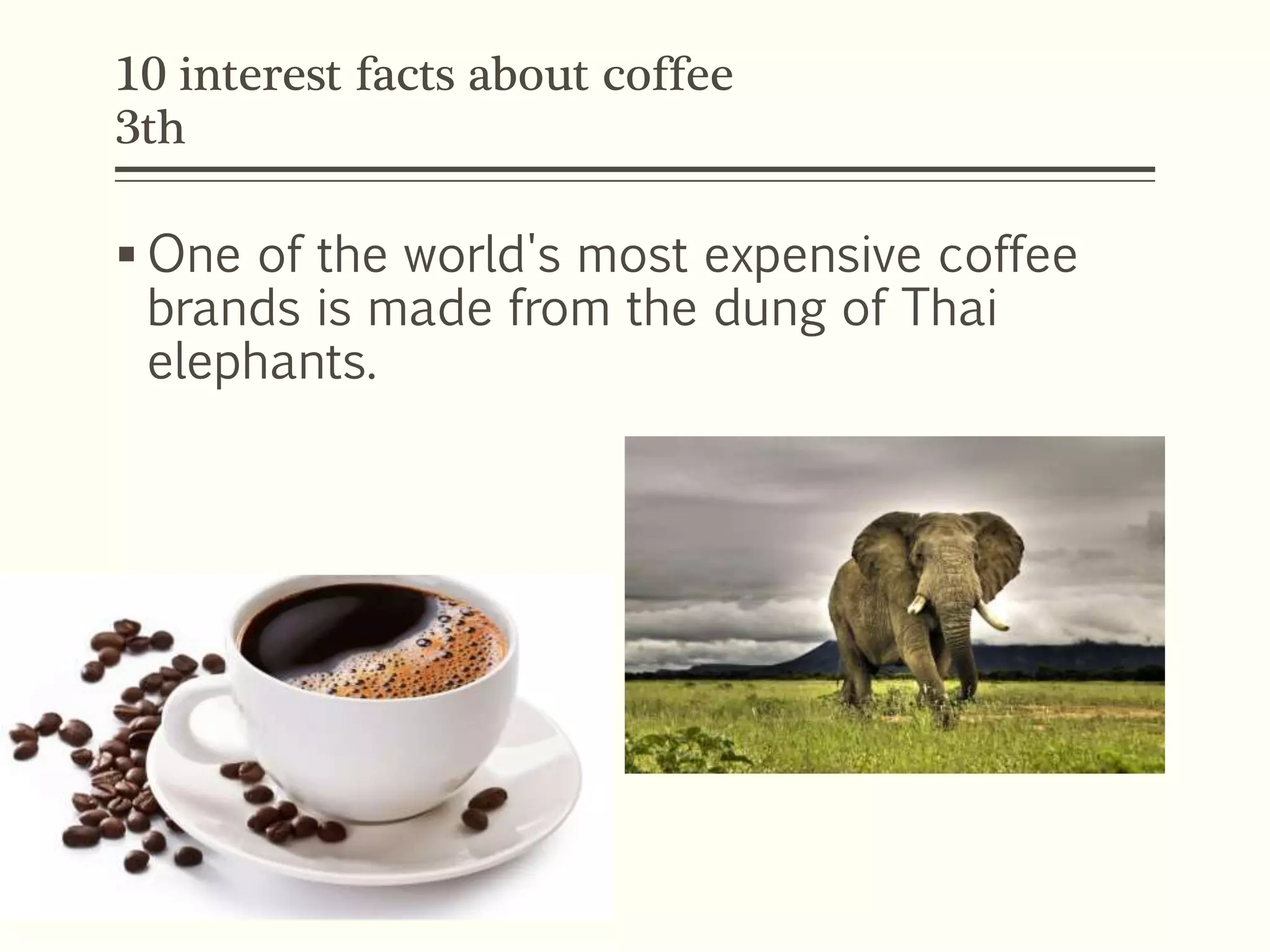 It's interesting to know-coffee | PPTX