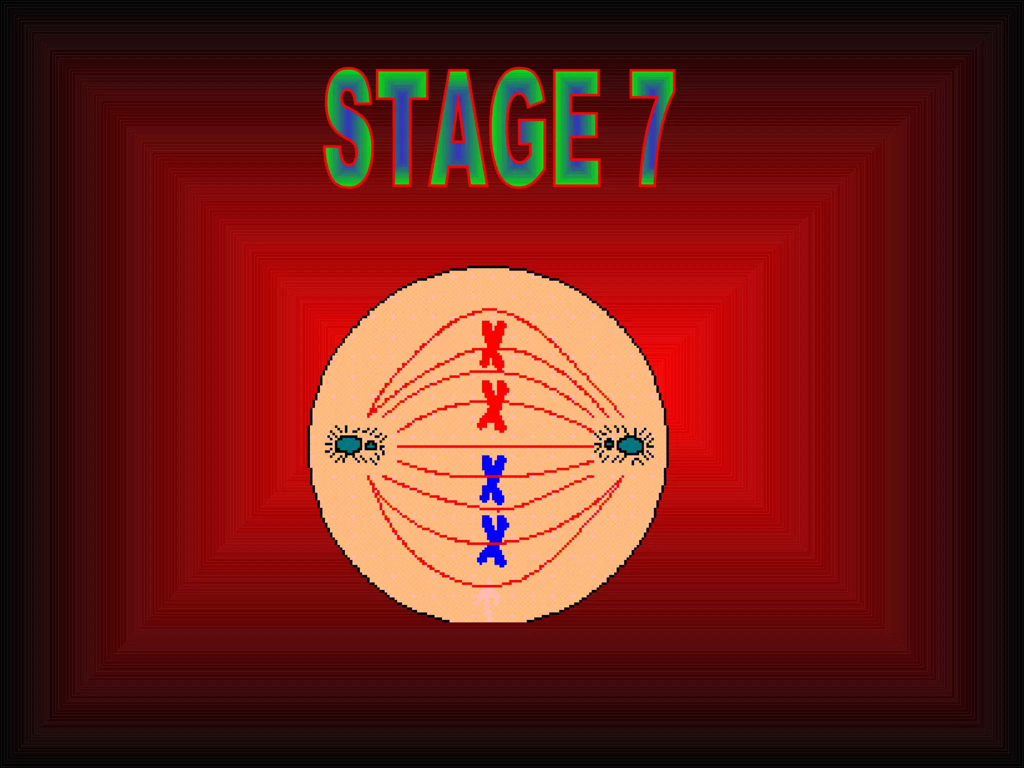 Mitosis Ppt