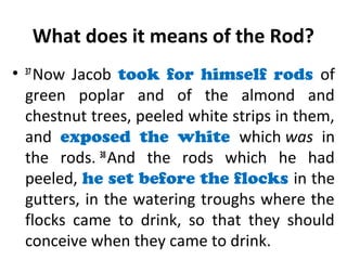 It's not luck but it's all about God's favor | PPT