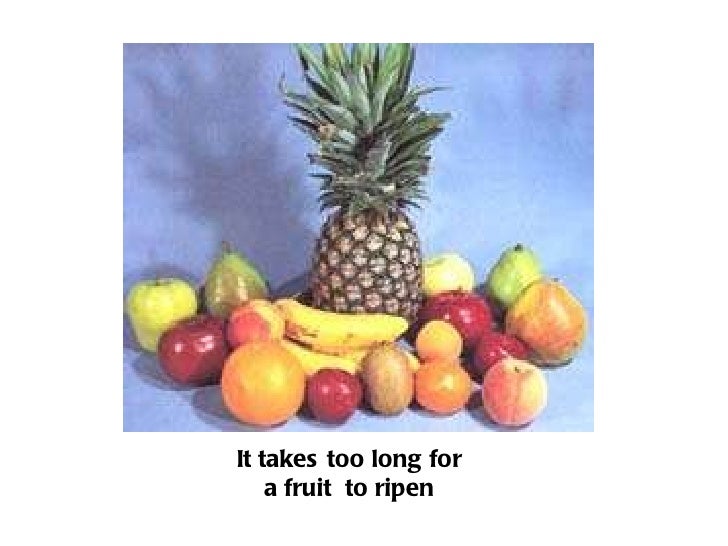 It's not taking too long