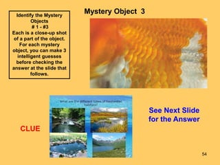 It's PUZZLE Time to Exercise the Mind | PPT