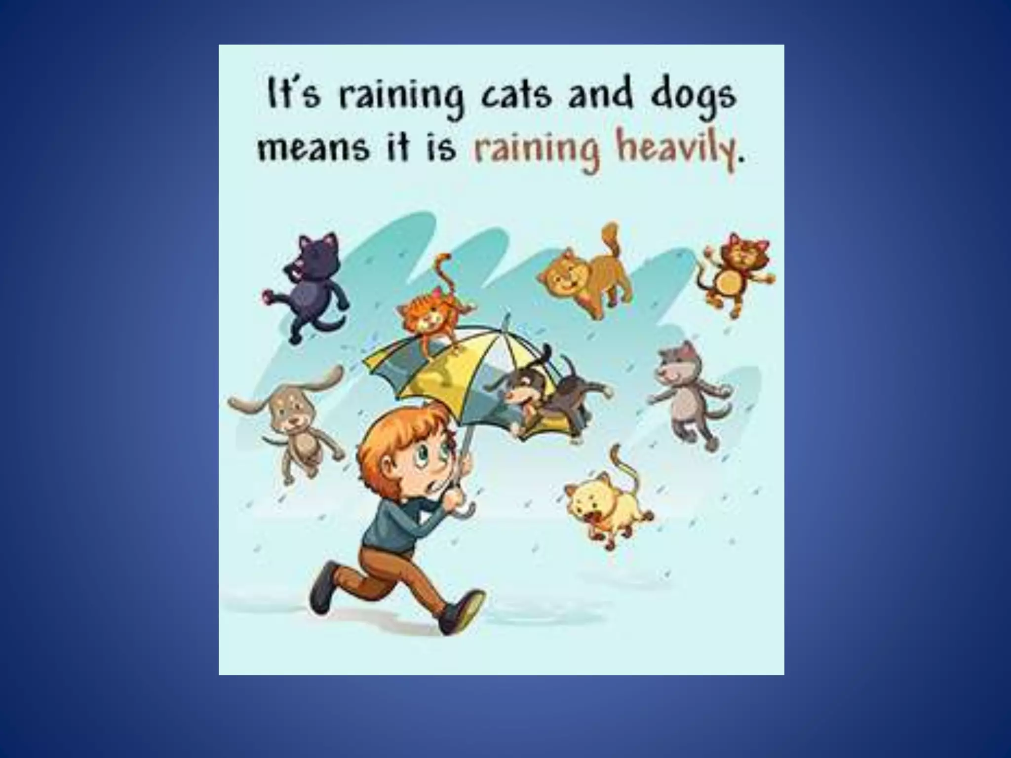 Its raining cats and dogs | PPTX