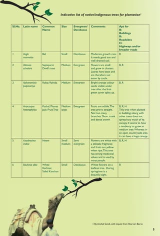 It's tree time | PDF | Woodworking | Arts and Crafts