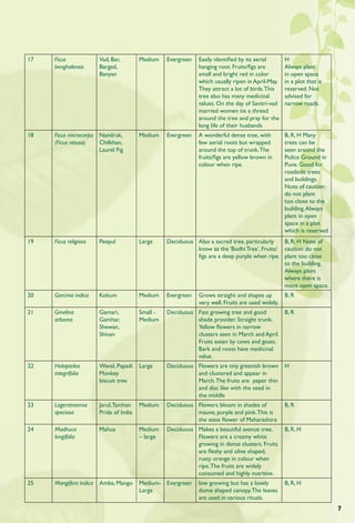 It's tree time | PDF | Woodworking | Arts and Crafts