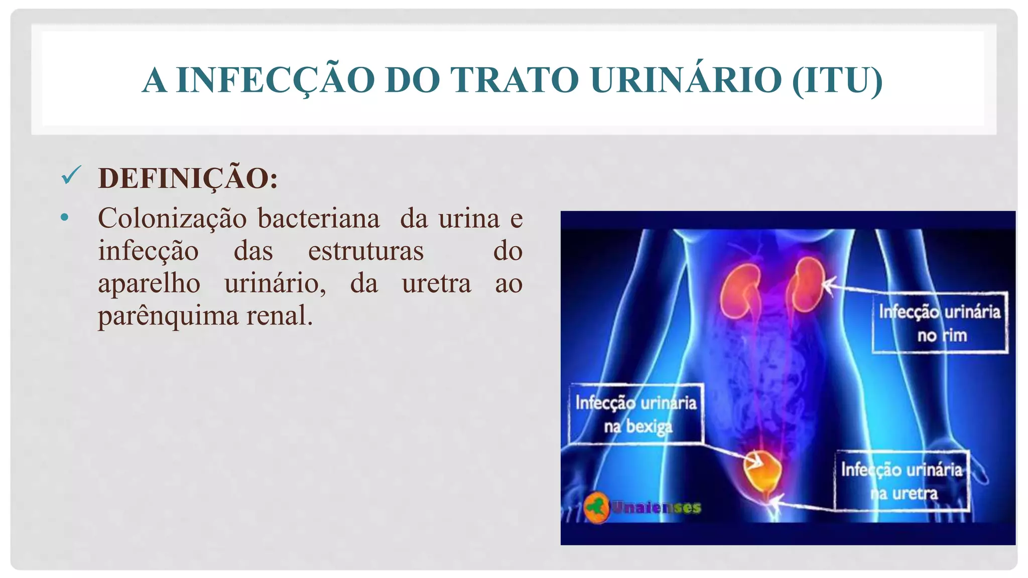 PREVENÇÃO DA INFECÇÃO HOSPITALAR DO TRATO URINÁRIO | PPT | Download ...