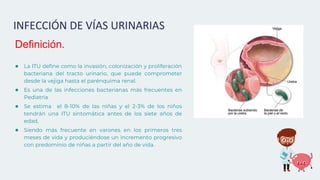 ITU INFECCIONES DEL TRACTO URINARIO DIAPO | PDF