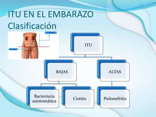 ITU en el embarazo definición y desarrollo | PPTX