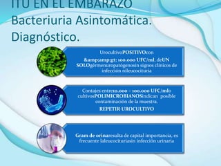 ITU en el embarazo definición y desarrollo | PPTX