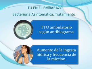 ITU en el embarazo definición y desarrollo | PPTX