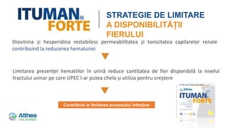 Ituman Forte_Prezentare workshop.pptx