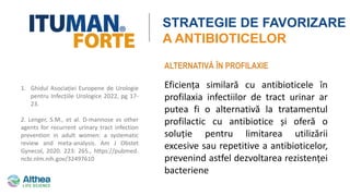 Ituman Forte_Prezentare workshop.pptx