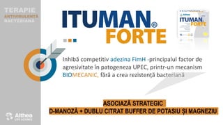 Ituman Forte_Prezentare workshop.pptx