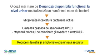 Ituman Forte_Prezentare workshop.pptx