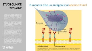 Ituman Forte_Prezentare workshop.pptx