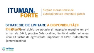 Ituman Forte_Prezentare workshop.pptx