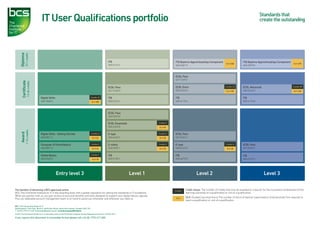 IT user qualifications (for colleges and trainig centres) | PDF