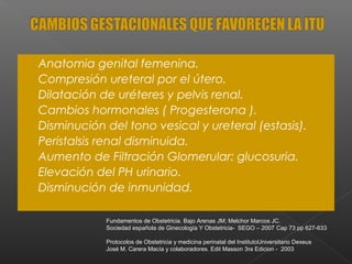 Itu y embarazo dr zegarra | PPT