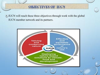 Iucn | PPT
