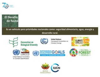 Ronald McCarthy, IUCN, Restauración productiva del paisaje | PDF