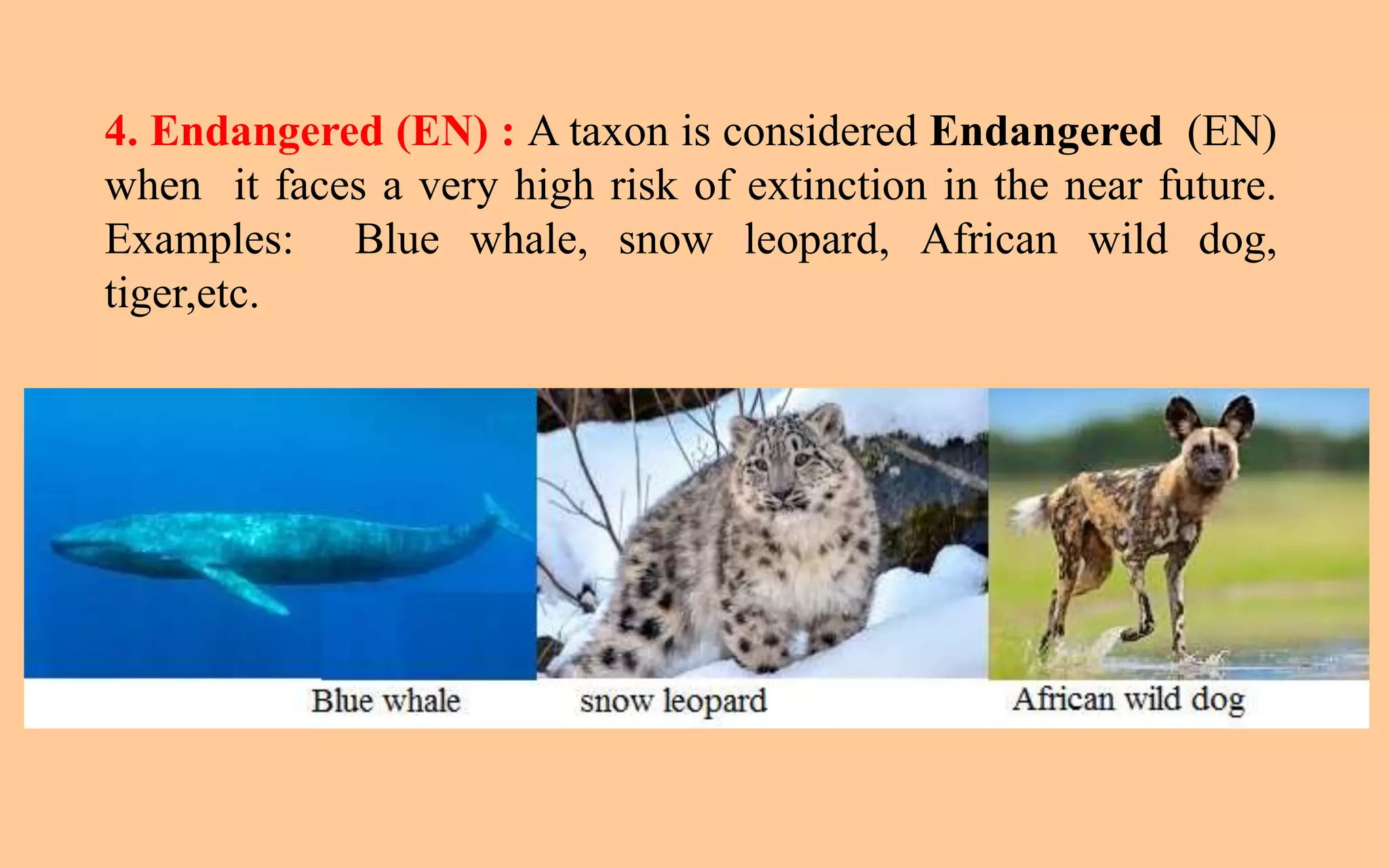 International Union for Conservation of Nature (IUCN) | PPTX