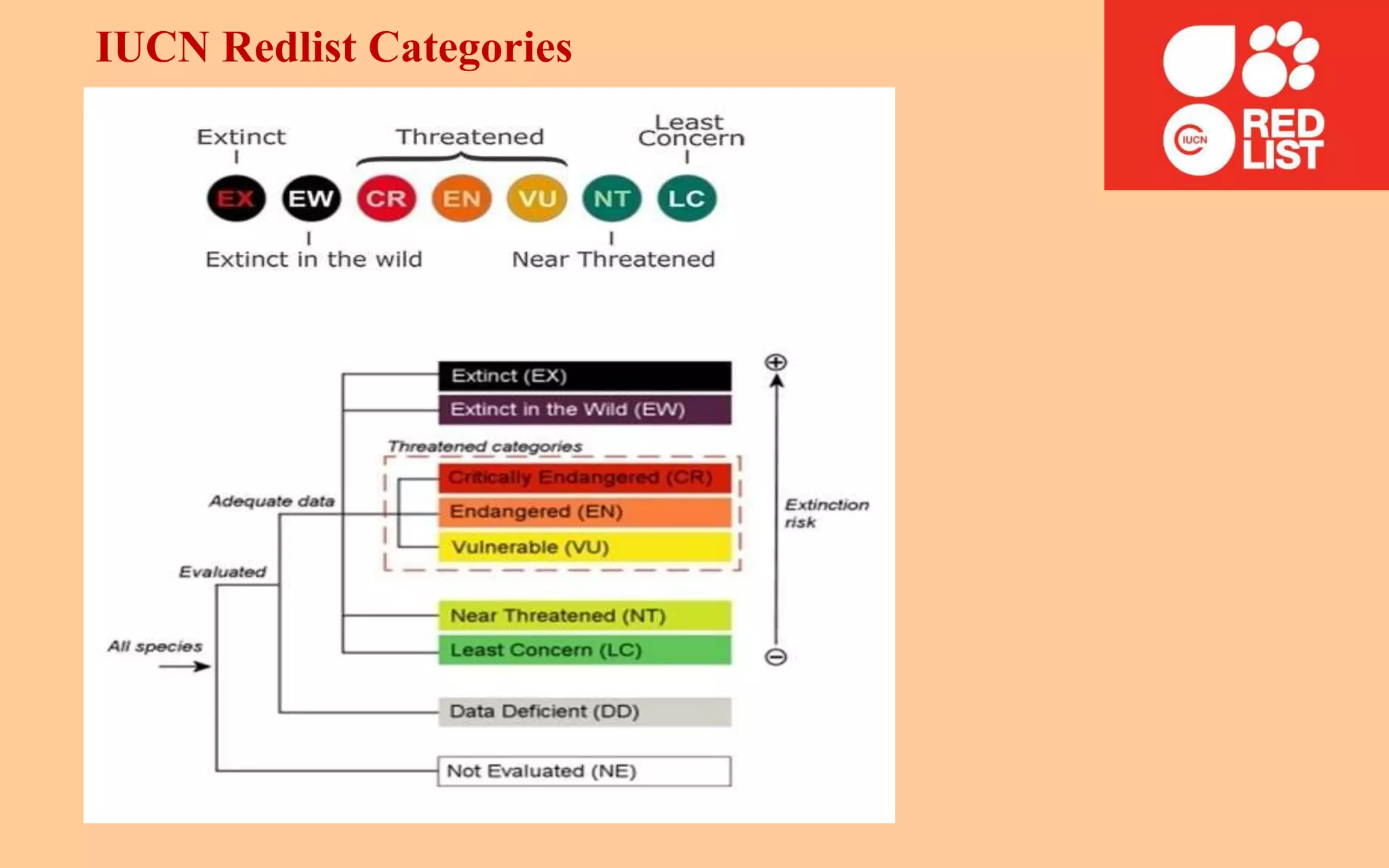 International Union for Conservation of Nature (IUCN) | PPTX