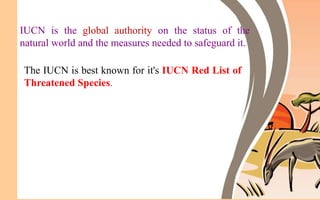 International Union for Conservation of Nature (IUCN) | PPTX