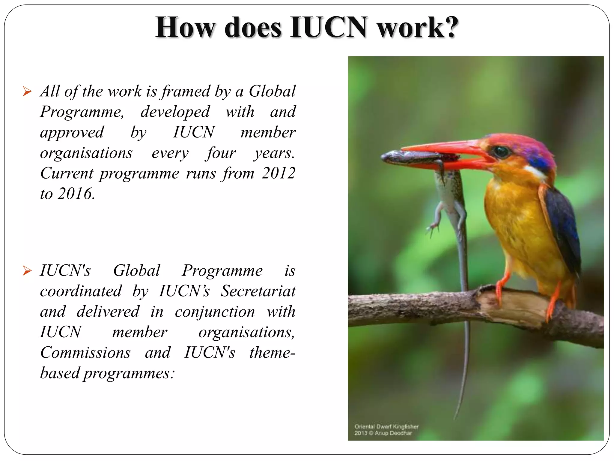 IUCN Criteria | PPTX