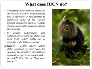 IUCN Criteria | PPTX