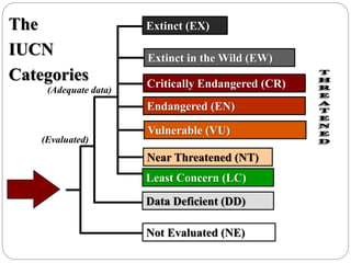 IUCN Criteria | PPTX