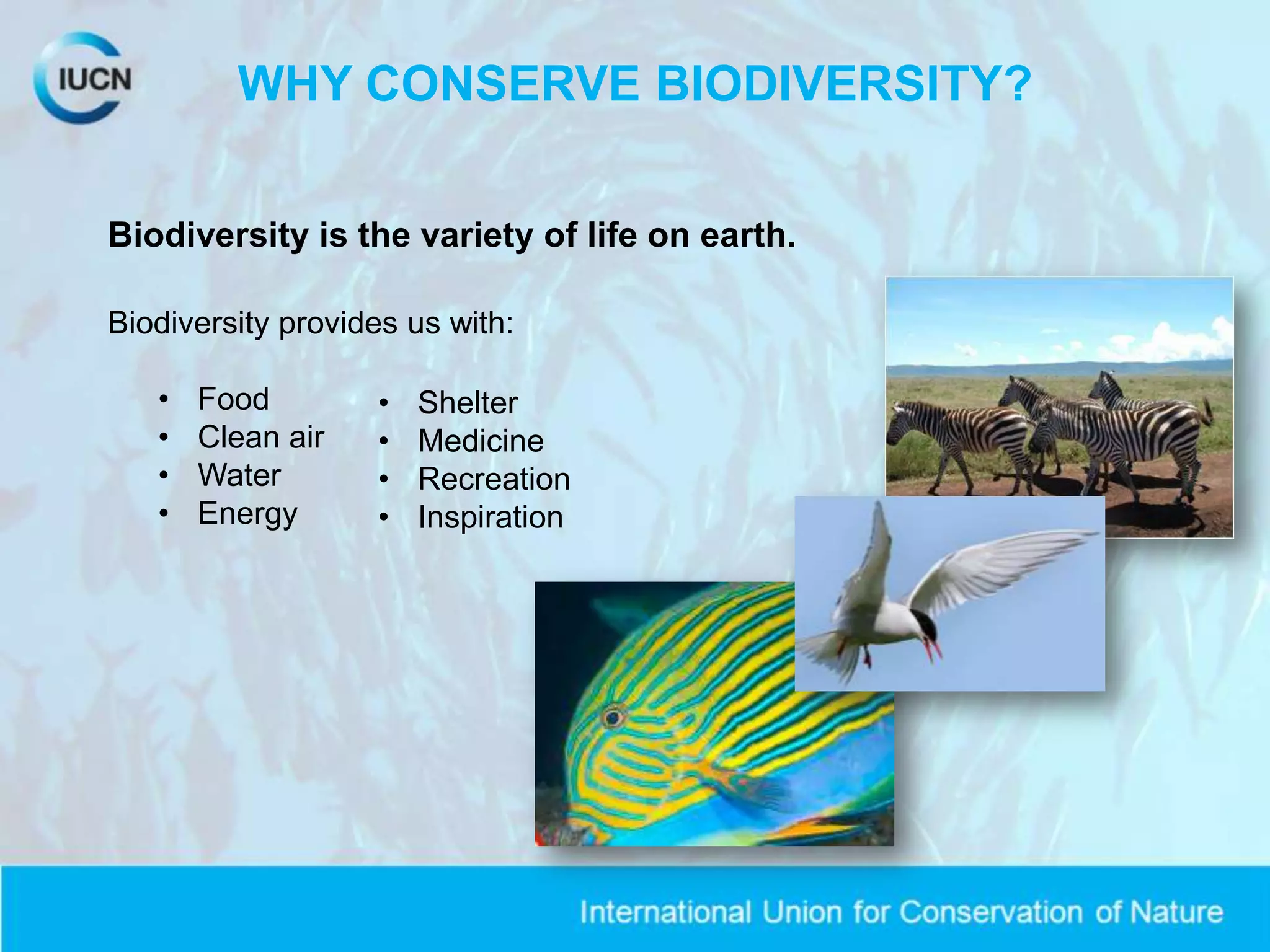 IUCN General Presentation | PPTX