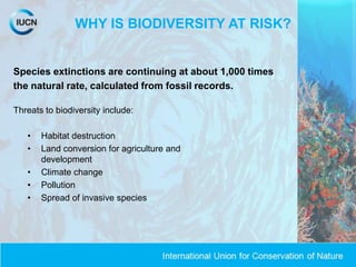 IUCN General Presentation | PPTX