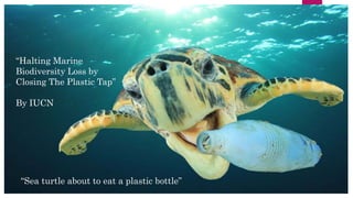 Iucn ppt | PPTX