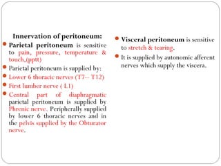 peritoneum and peritoneal cavity | PPT