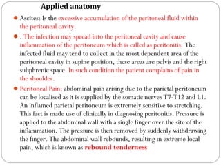 peritoneum and peritoneal cavity | PPT