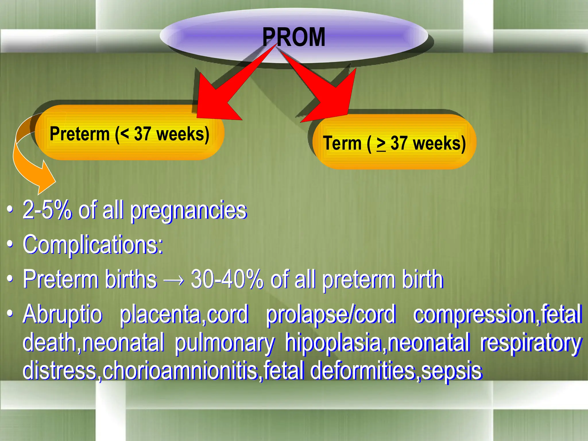Intra Uterine Fetal Demise dengan Preterm Premature Rupture | PPT