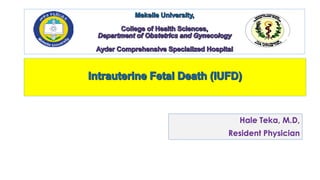 Intrauterine Fetal Death | PDF
