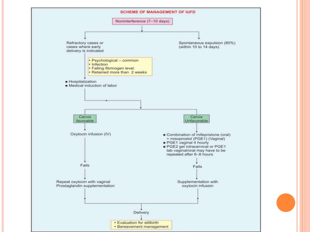 IUFD(INTRA UTERINE FETAL DEATH).pptx | Pregnancy | Reproductive Health