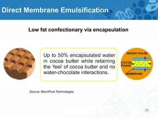 Membrane Emulsification by Dr Henelyta Ribeiro | PDF