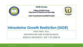 Iugr | PDF | Pregnancy | Reproductive Health