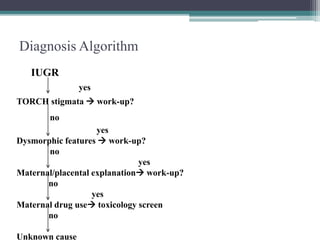 IUGR- INtra uterine growth retardation - iugr | PPTX