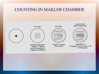 Intra Uterine Insemination | ODP
