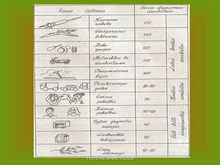 šIukšlės ir triuksmas | PPS