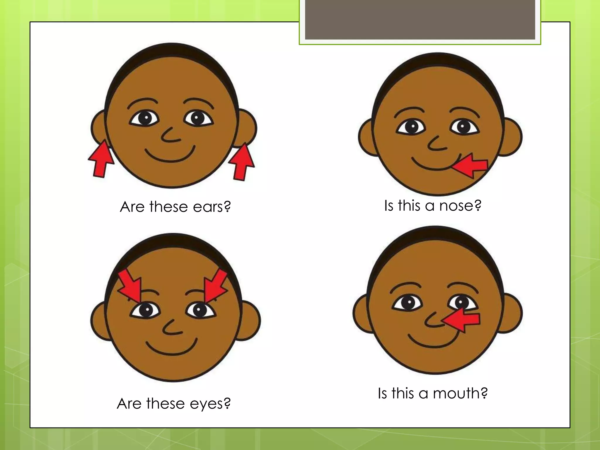 Parts of the body | PPT